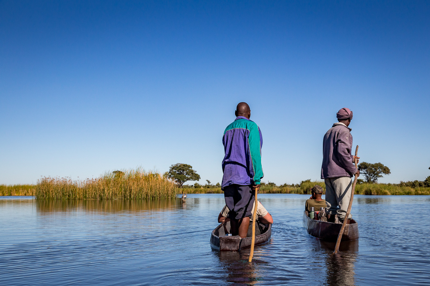 An introduction to the Okavango Delta, Botswana | Okavango Expeditions