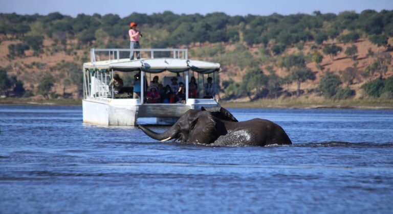 Chobe National Park - Okavango Expeditions