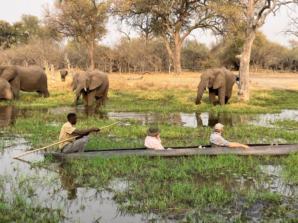 The Okavango Delta - Okavango Expeditions